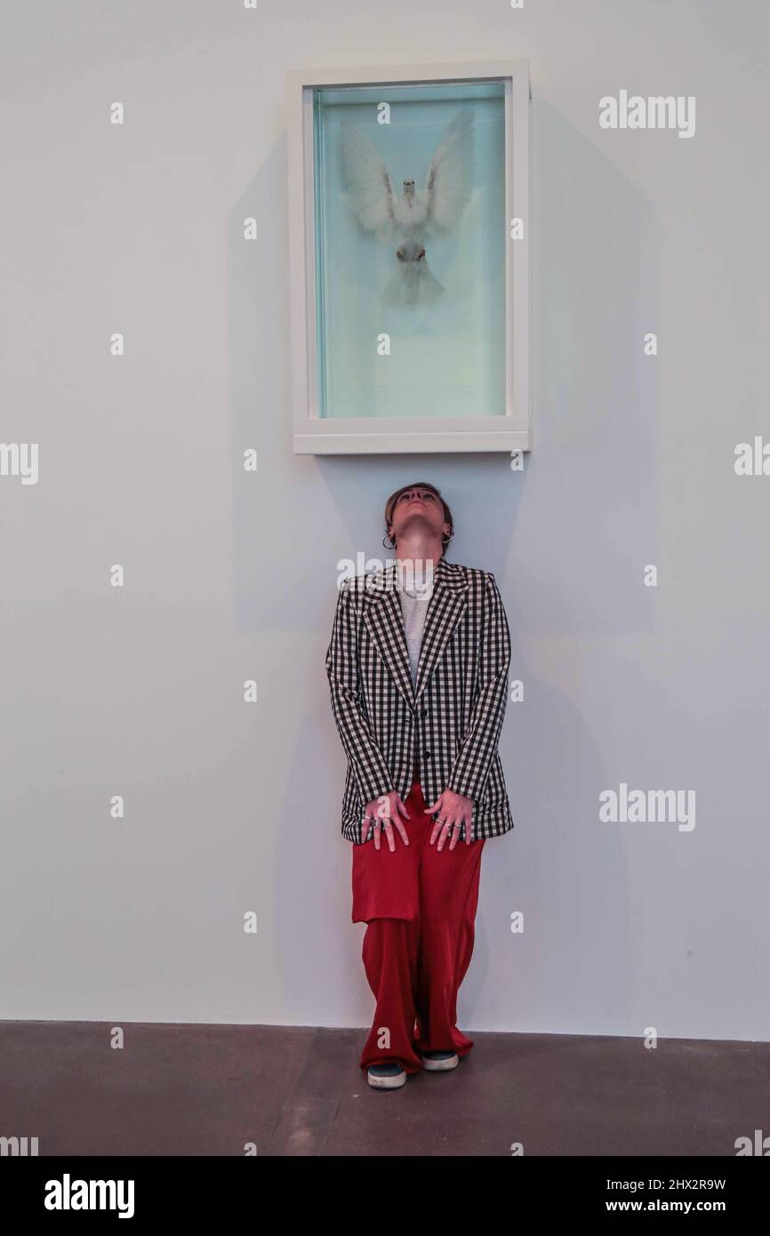 Damien hirst formaldehyde sculptures hi-res stock photography and ...