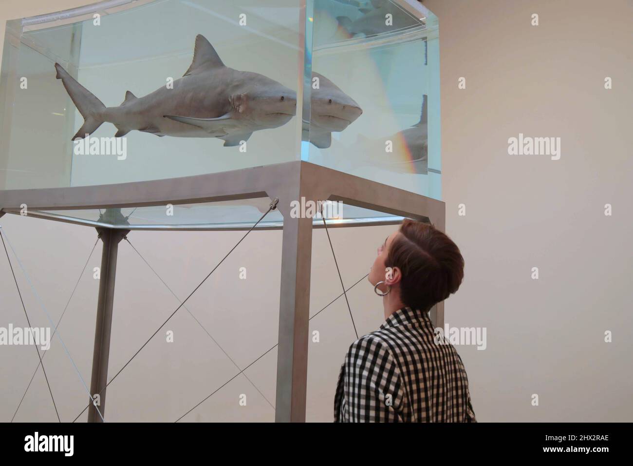 Damien hirst formaldehyde sculptures hi-res stock photography and ...