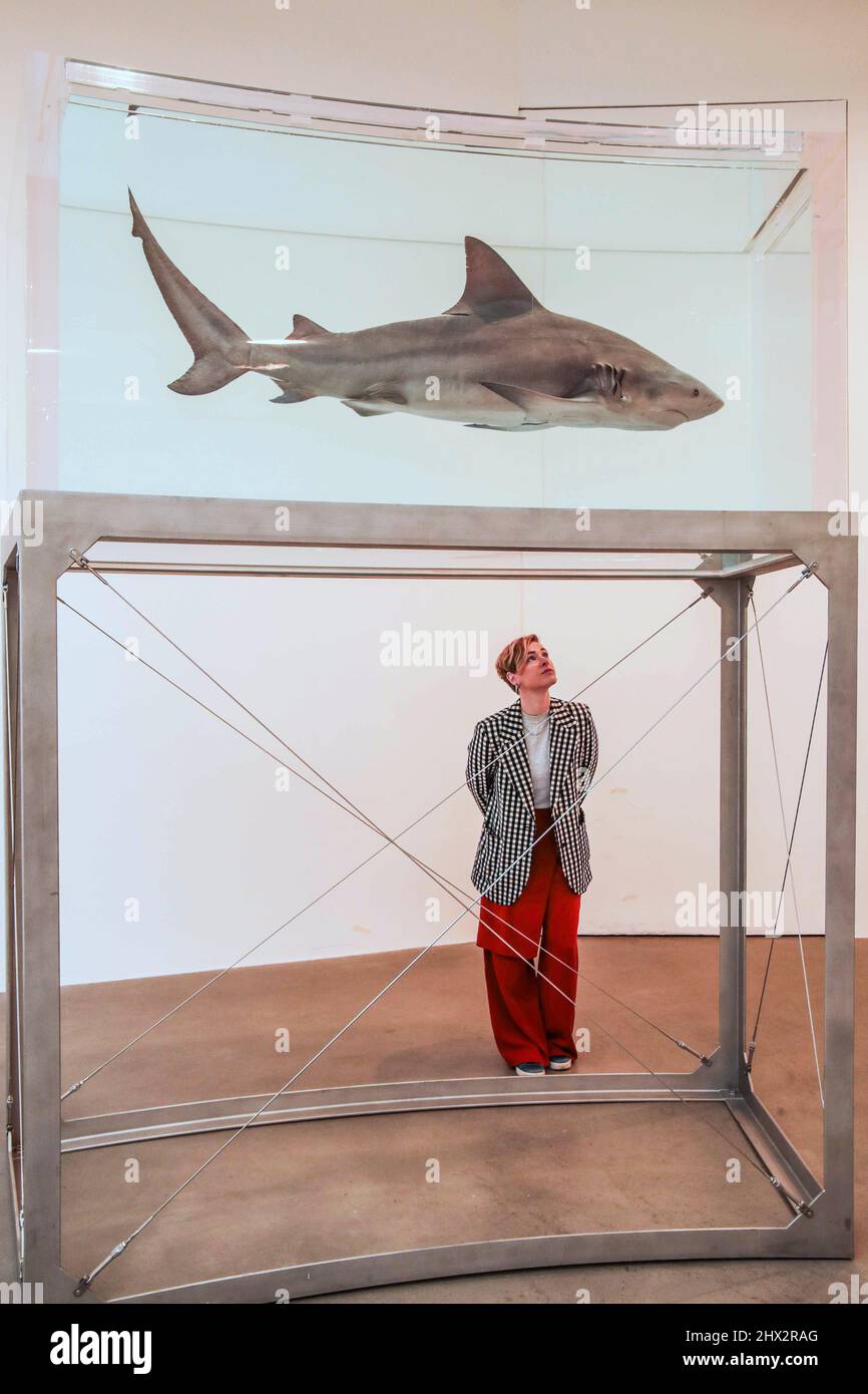 Damien hirst formaldehyde sculptures hi-res stock photography and ...