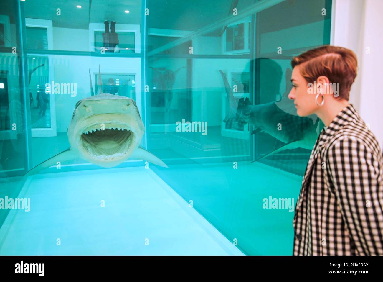 Damien hirst formaldehyde sculptures hi-res stock photography and ...