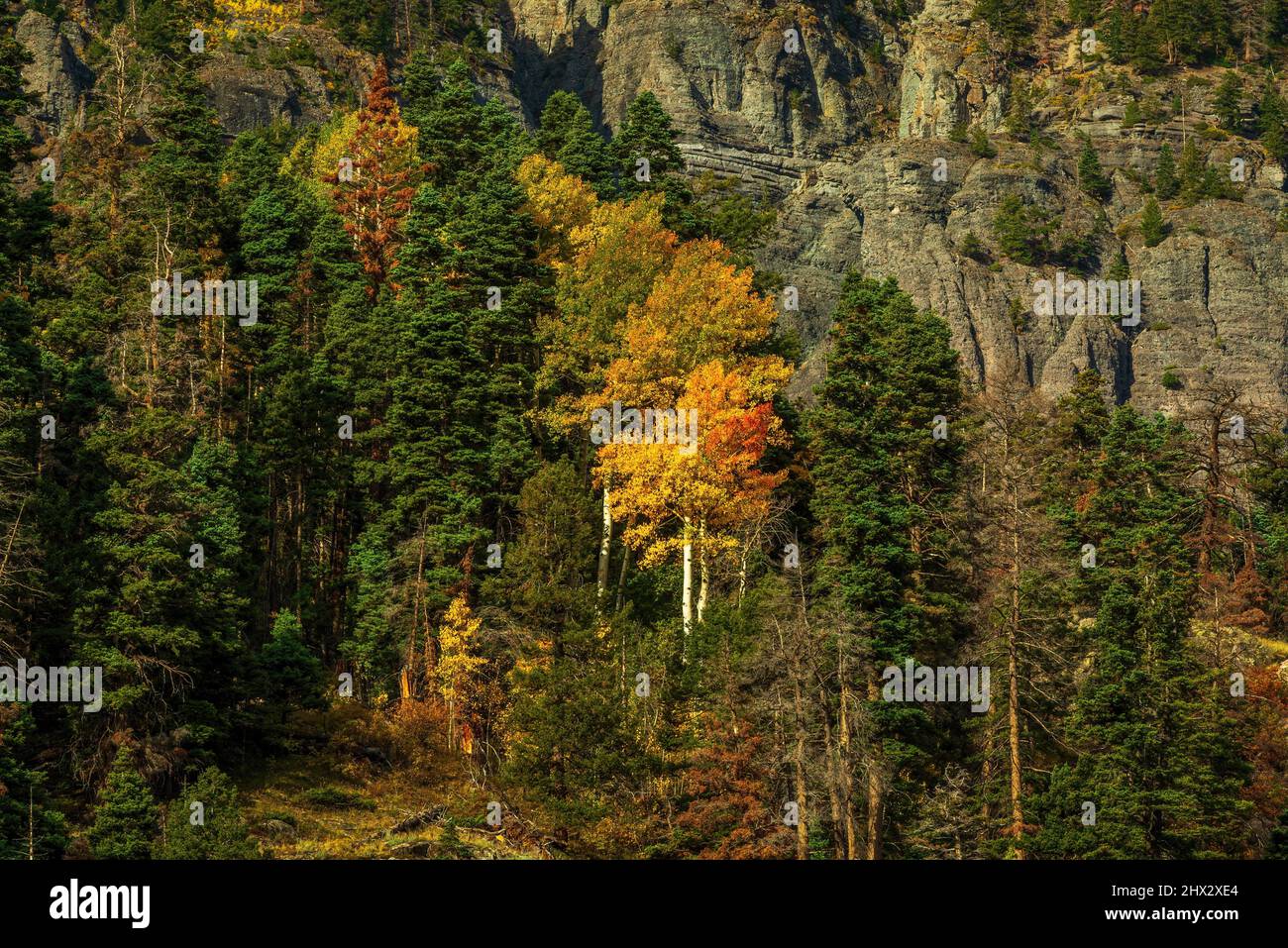 Ouray colorado fall hi-res stock photography and images - Alamy