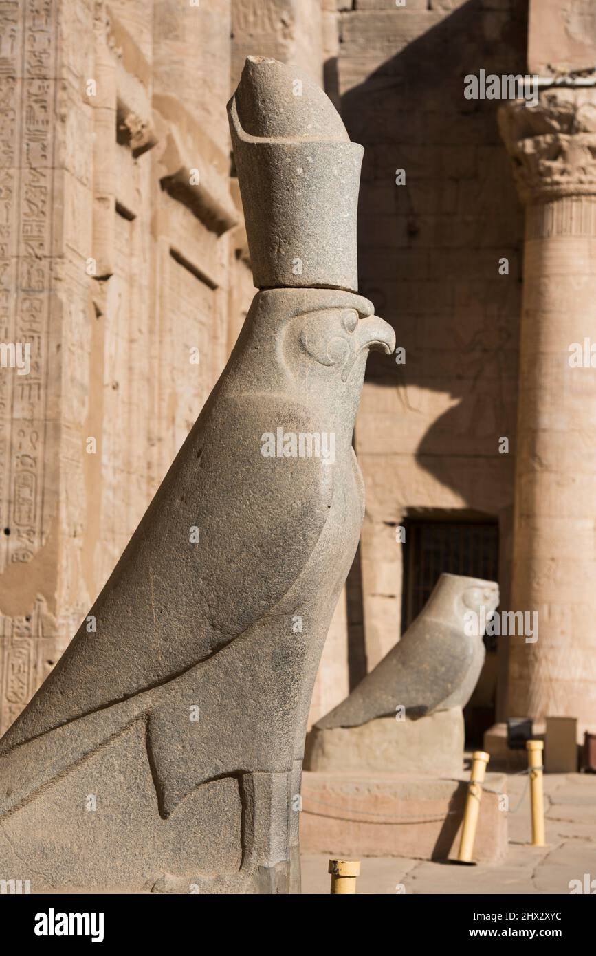 Statue horus entrance temple horus hi-res stock photography and images ...