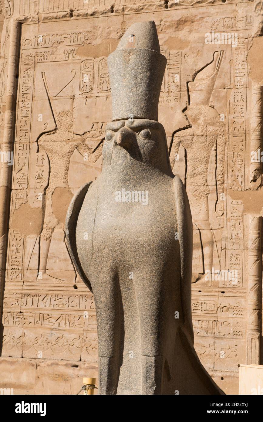 Horus statue at temple of horus in edfu hi-res stock photography and ...