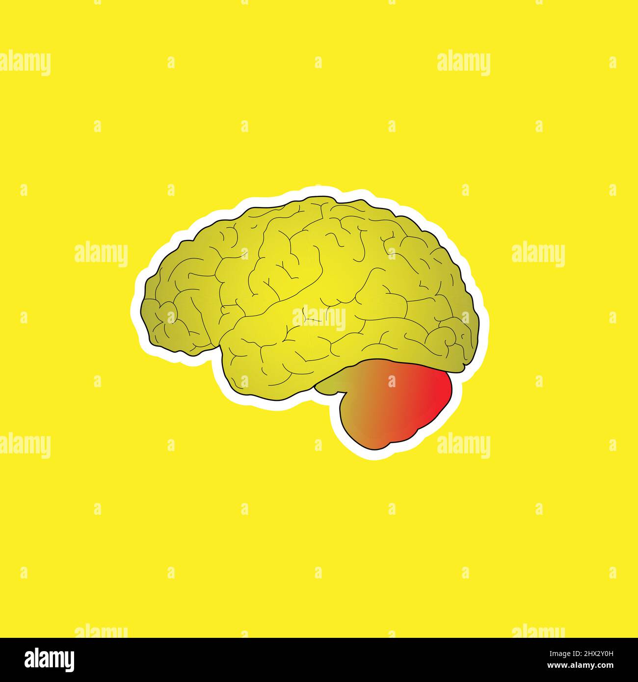 interesting and cool brain icon Stock Vector Image & Art - Alamy