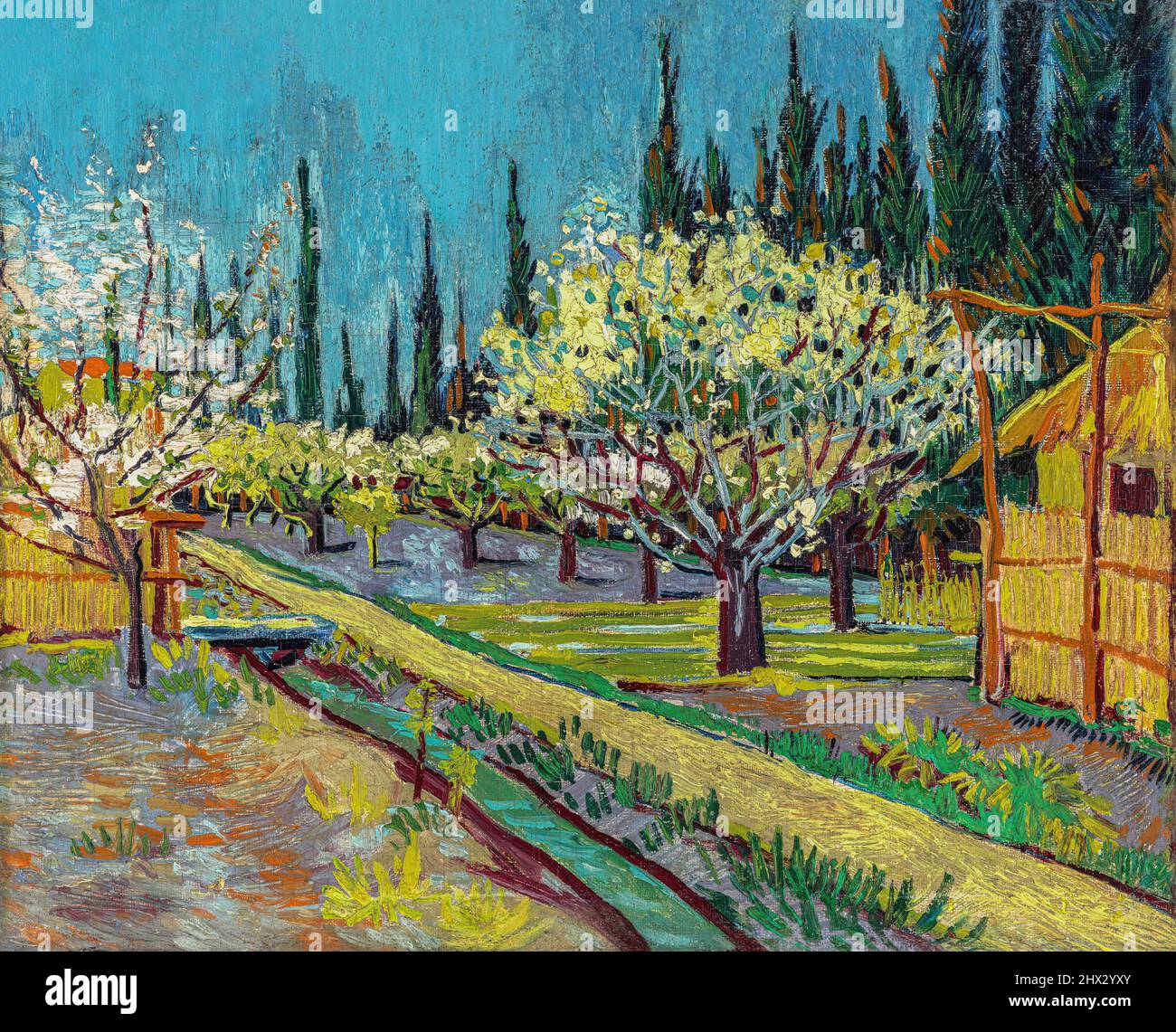 Van gogh orchard with cypresses hi-res stock photography and images - Alamy
