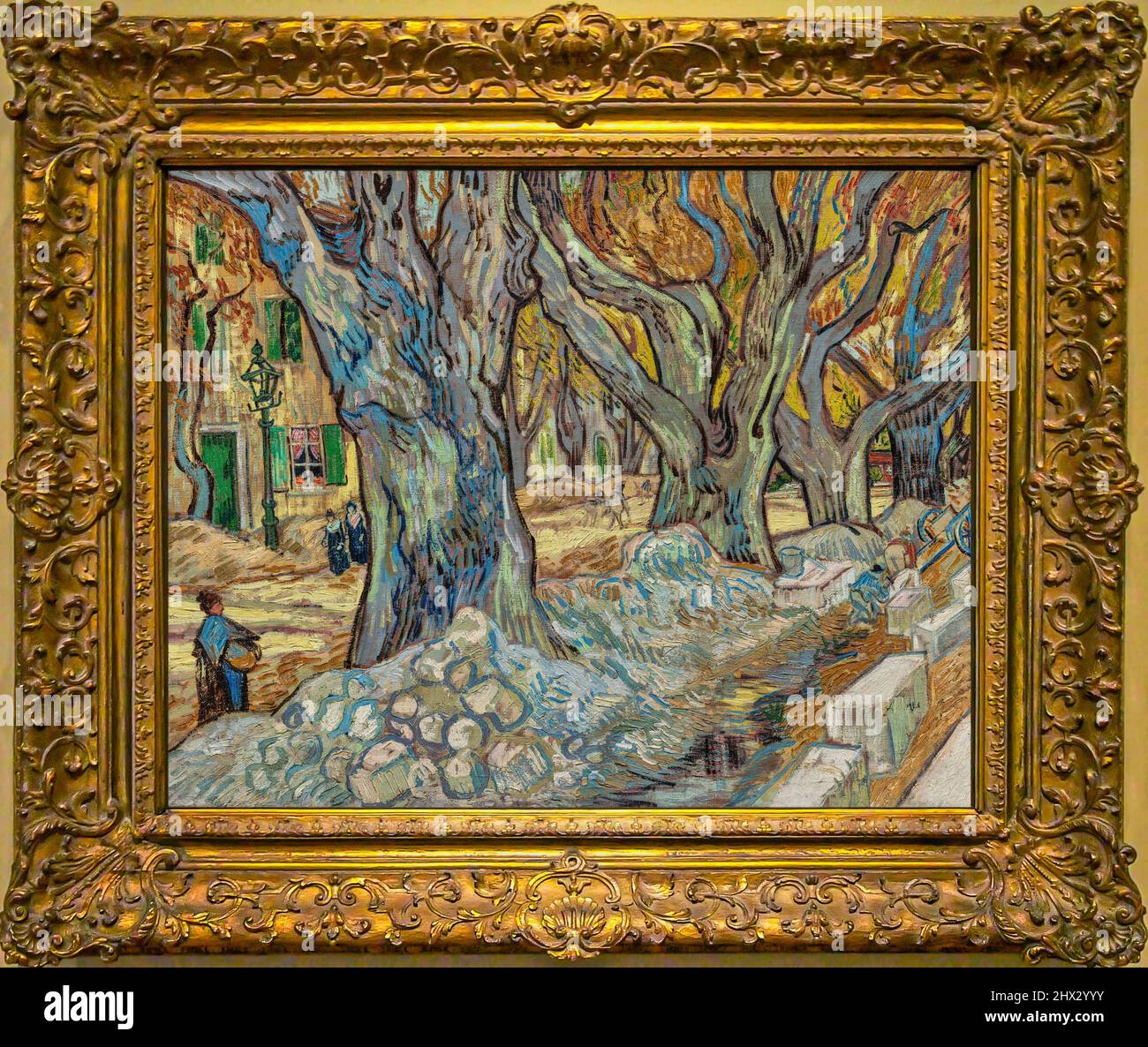 19th century tree van gogh hi-res stock photography and images - Alamy