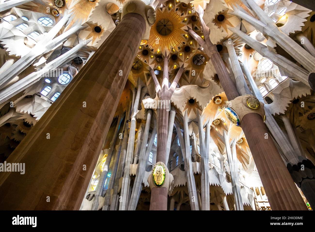 Transparent cathedral ceiling hi-res stock photography and images - Alamy