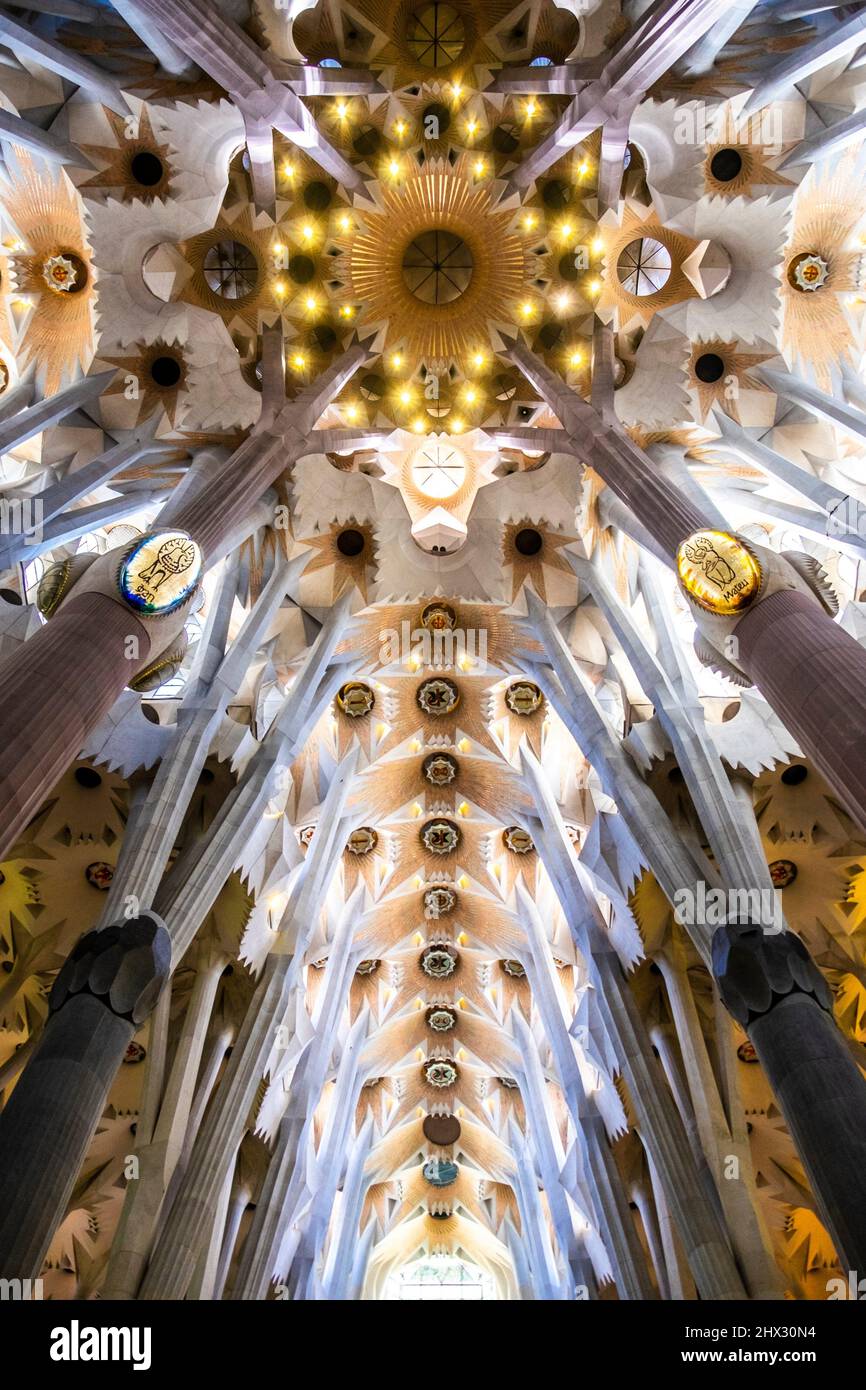 Gaudi Sagrada Familia Ceiling
