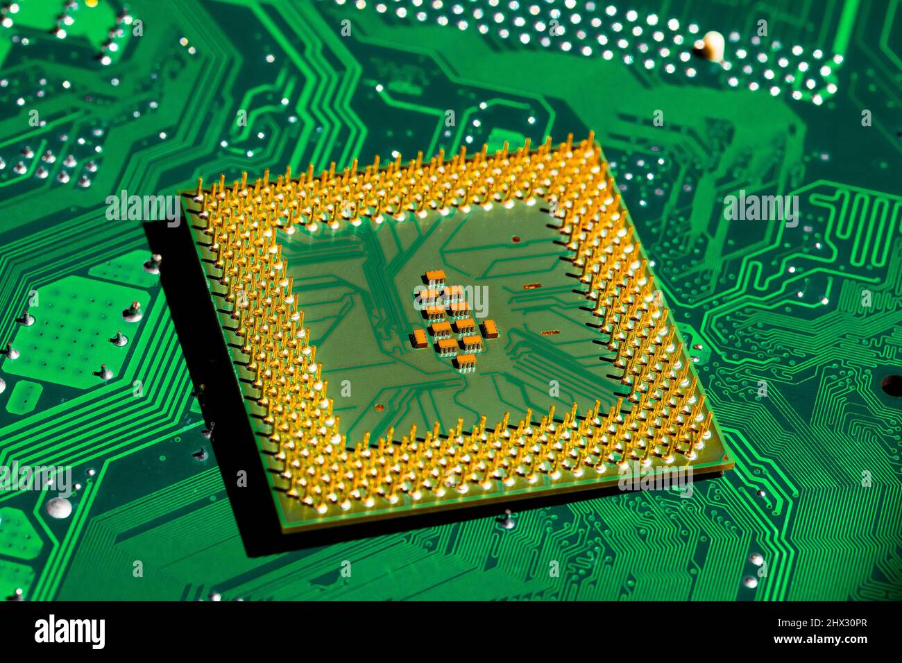 Macro Close up of microchips and pins on Main CPU PC processor circuit board Stock Photo - Alamy