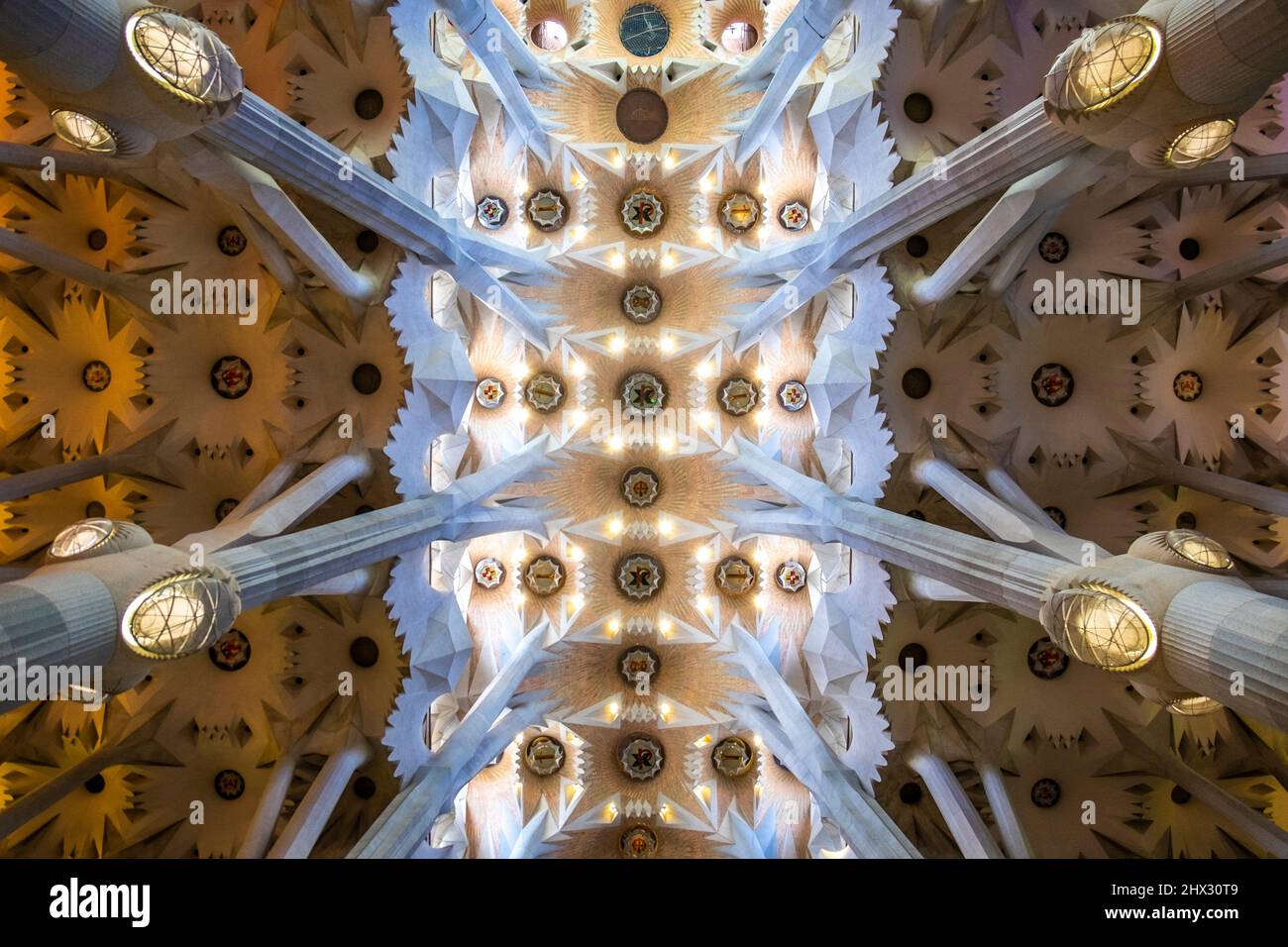 The famous ceiling of the Sagrada Familia by Antoni Gaudi in Barcelona ...