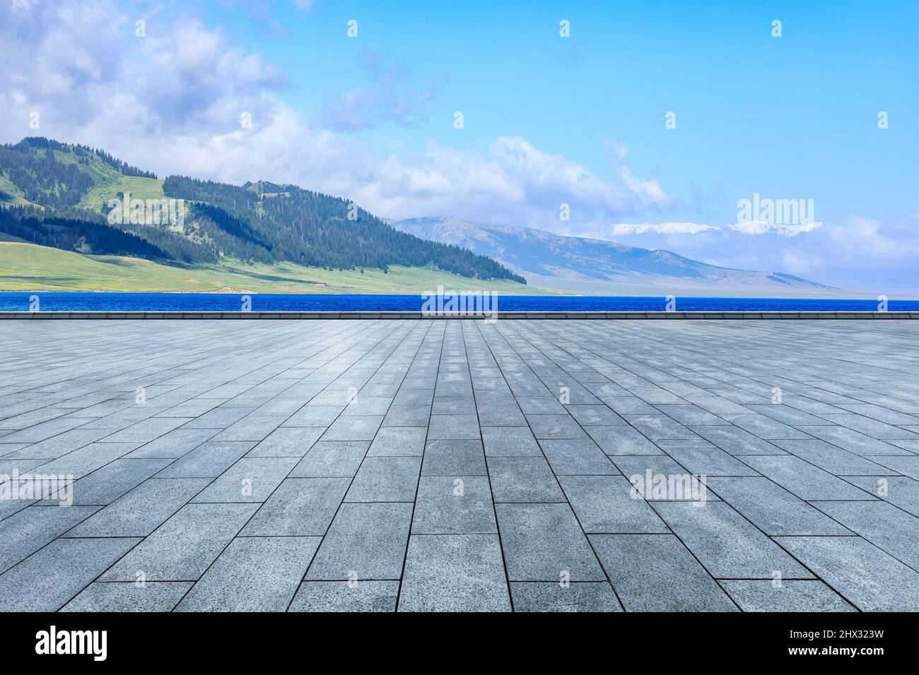 Ground natural nature scene scenery hi-res stock photography and images ...