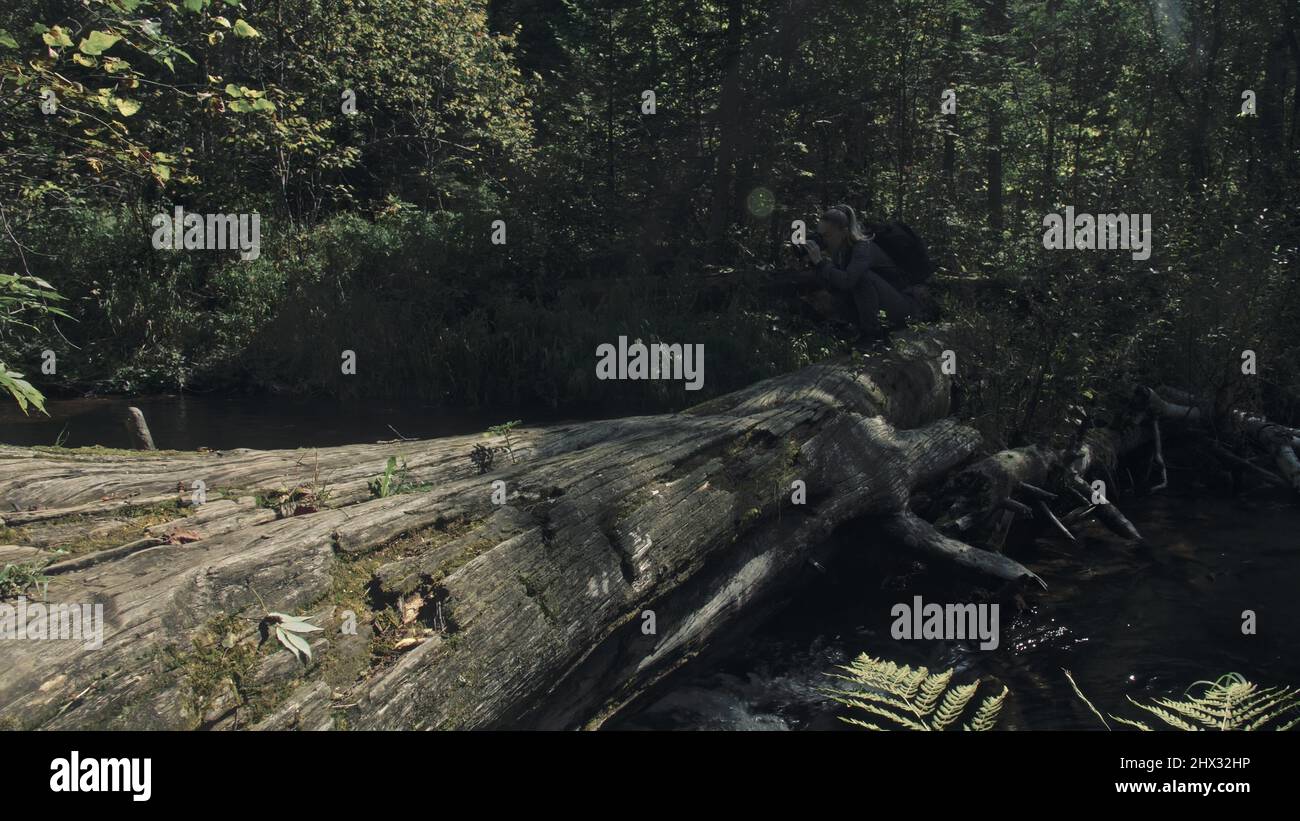Traveler photographing scenic view in forest river. Wood bridge fallen ...