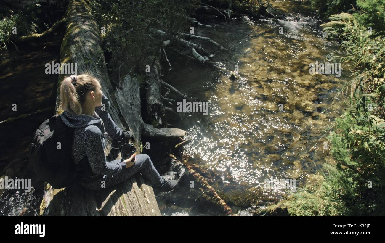 Traveler photographing scenic view in forest river. Wood bridge fallen ...