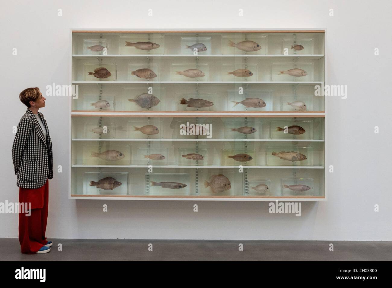 Damien hirst formaldehyde sculptures hi-res stock photography and ...