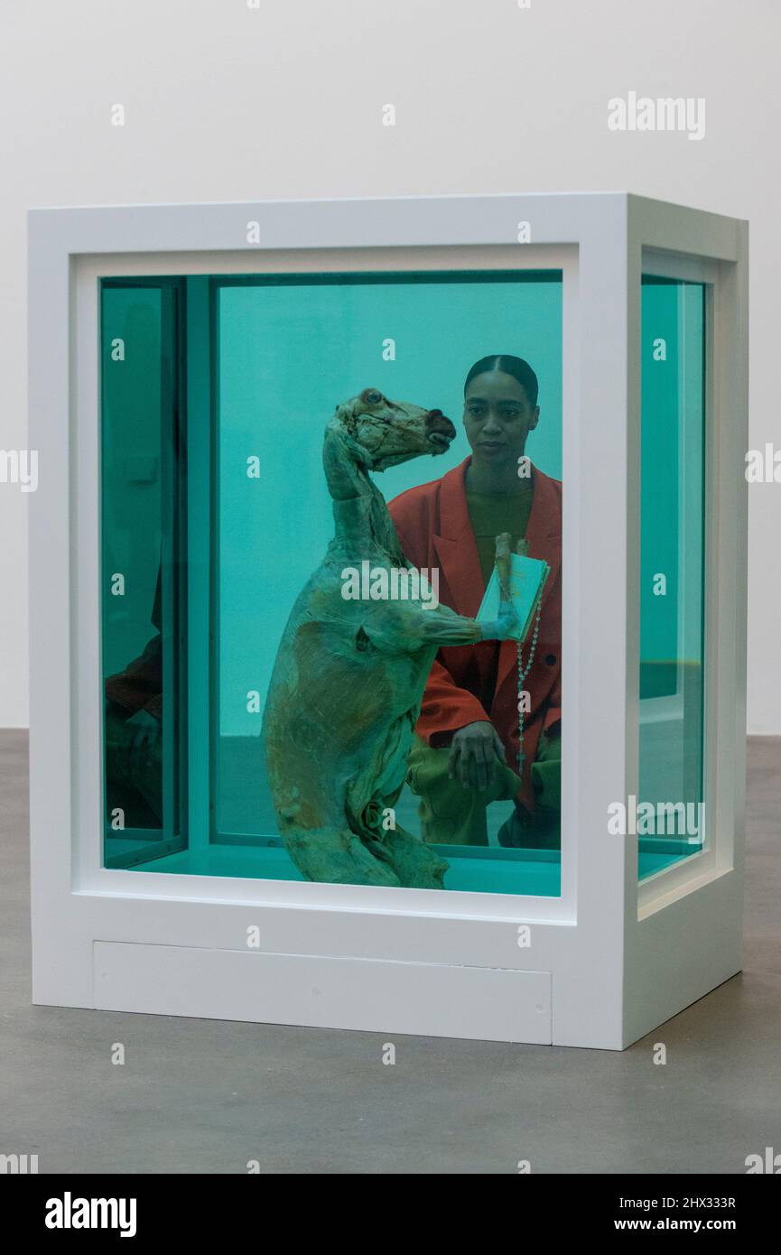 Sheep in formaldehyde hi-res stock photography and images - Alamy