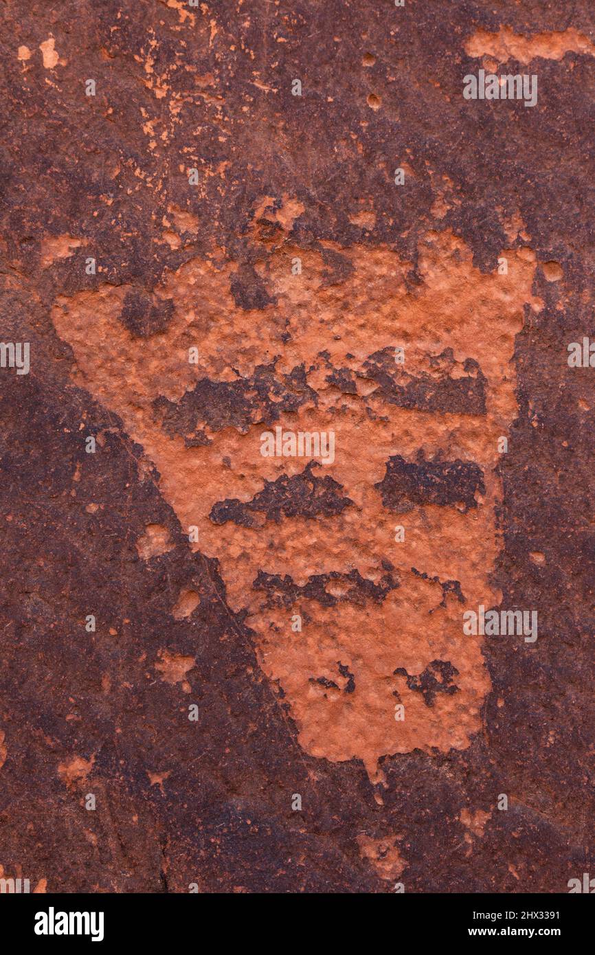 Six toed footprint hi-res stock photography and images - Alamy