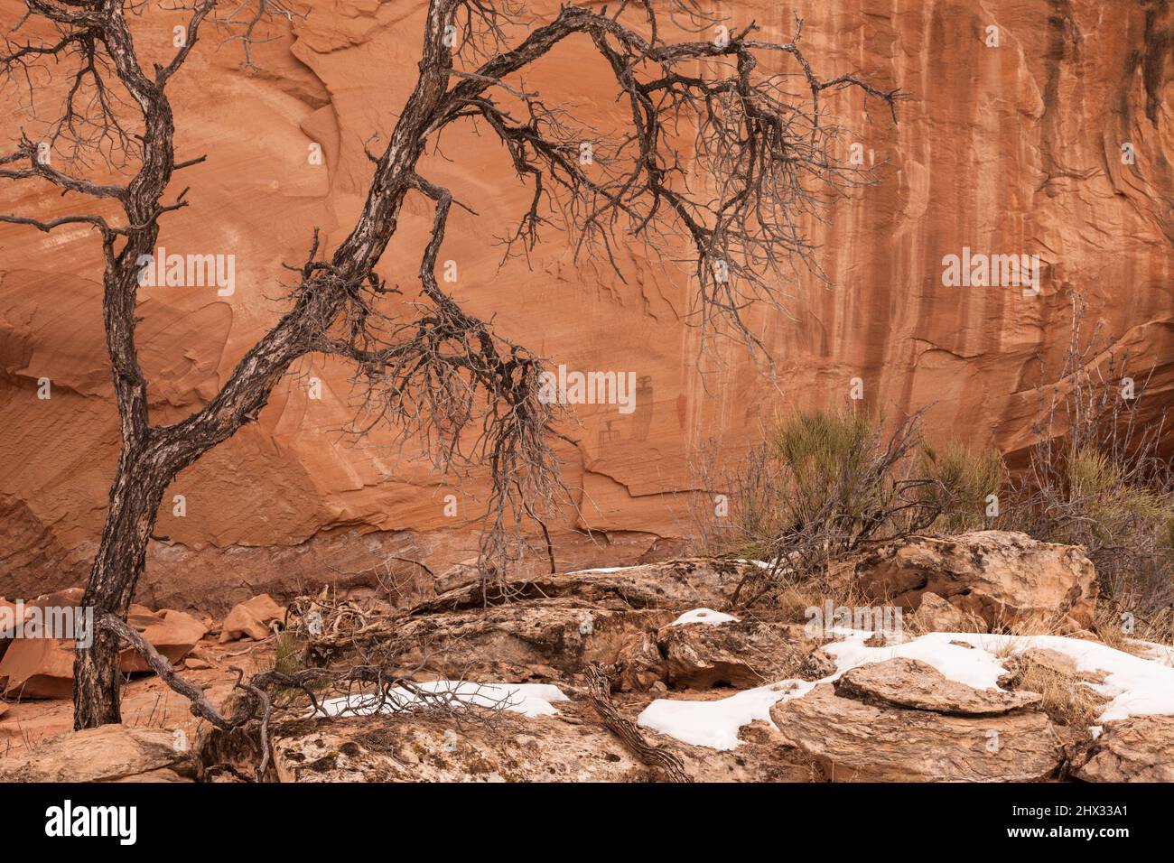 Alien-like anthropomorphic figures on the Bartlett Rock Art Panel, a ...