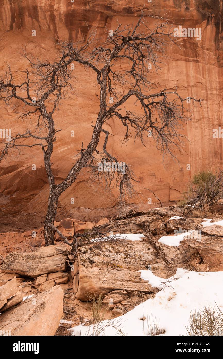 Alien-like anthropomorphic figures on the Bartlett Rock Art Panel, a ...