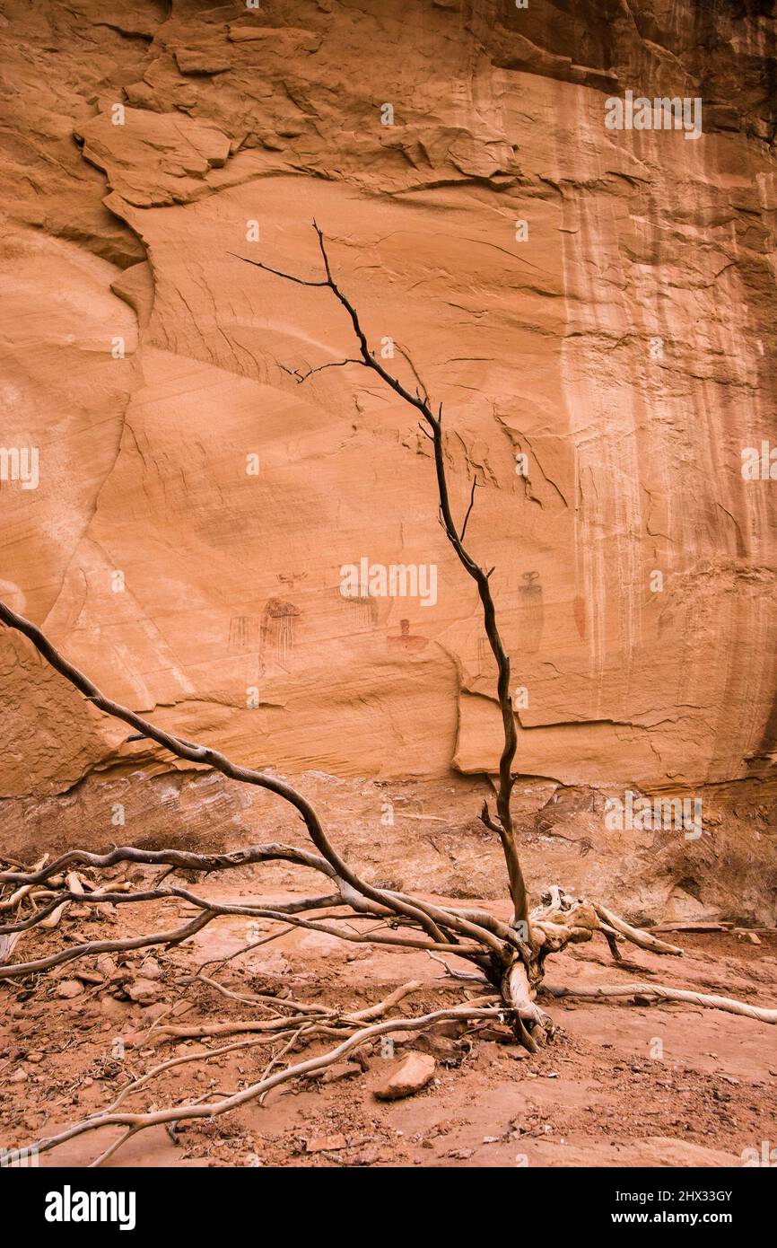 Alien-like anthropomorphic figures on the Bartlett Rock Art Panel, a ...