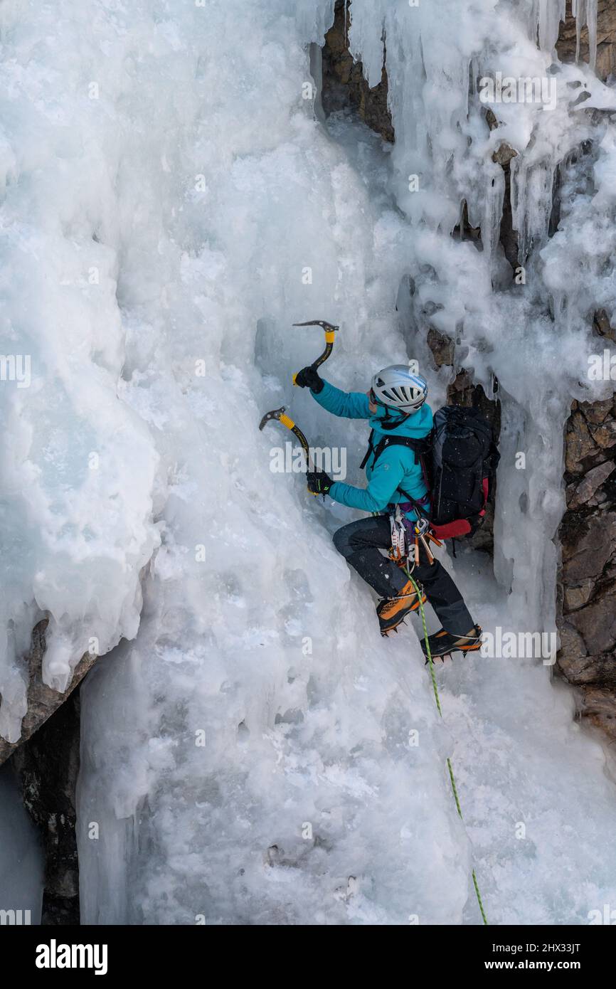 A male ice climber lead climbing on an ice wall using ice axes and ...