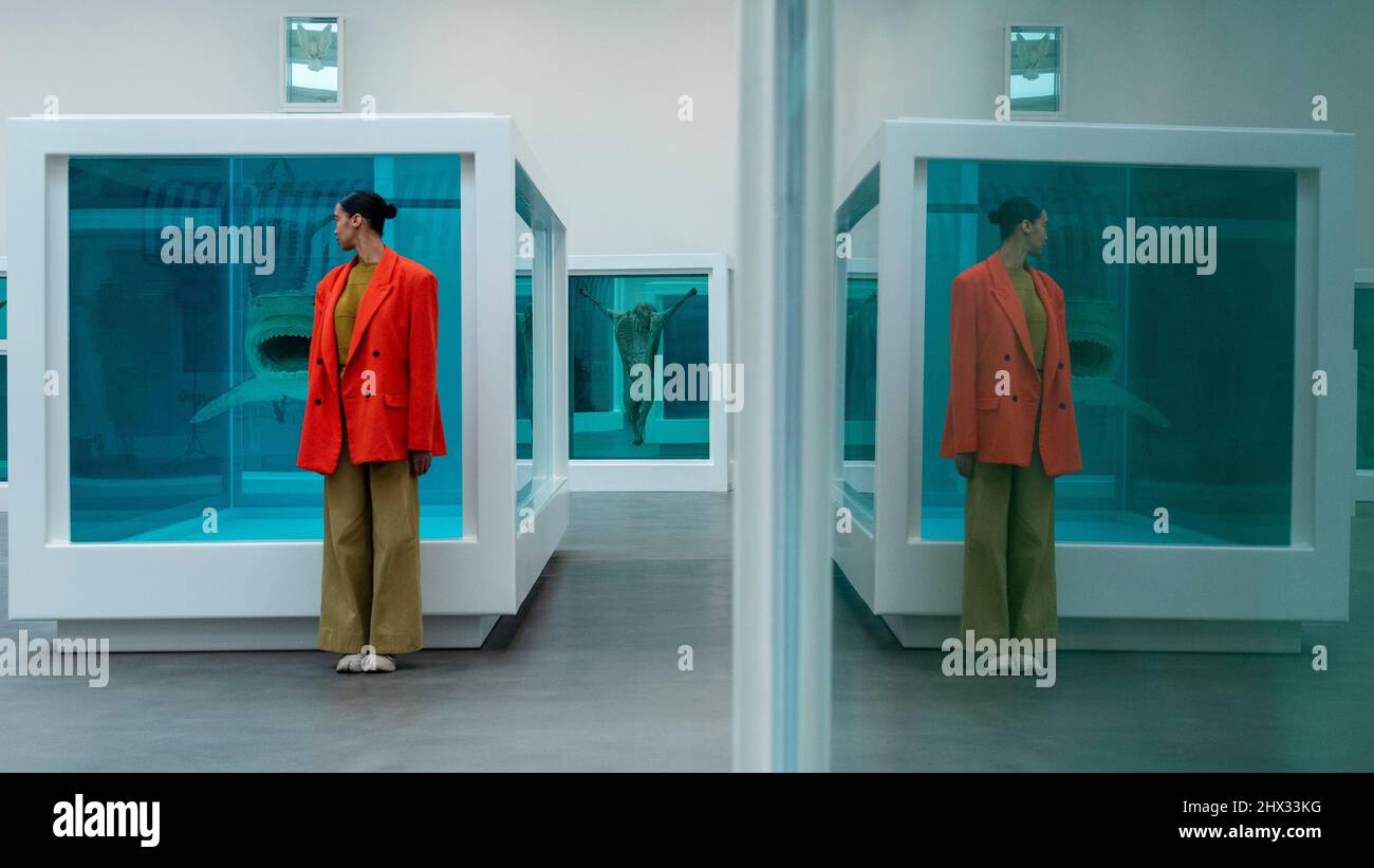 Damien hirst sheep formaldehyde hi-res stock photography and images - Alamy