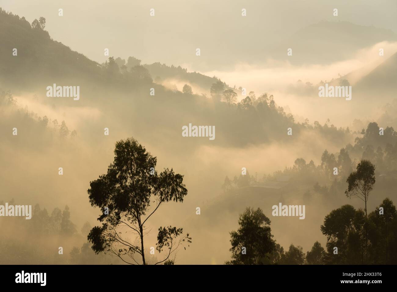 Itombwe Mountains, South Kivu, Democratic Republic of the Congo Stock ...