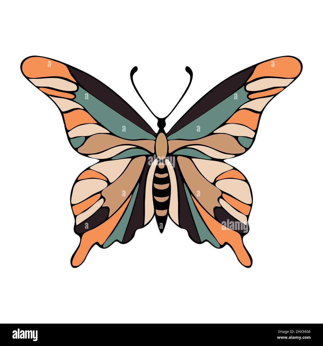 Butterfly contour hand drawing painted colored, isolated, white ...
