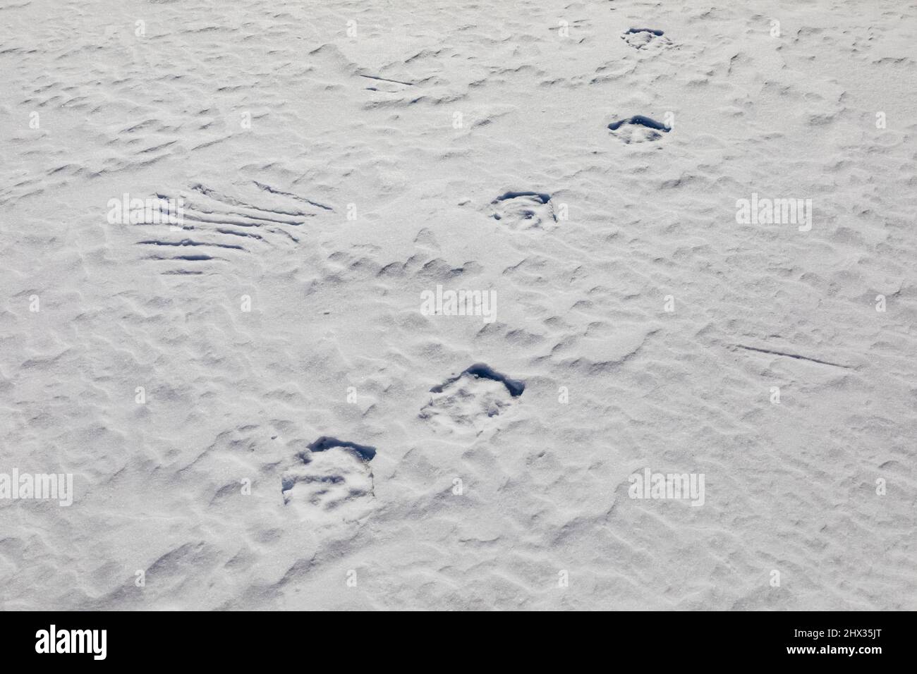 Ott biological preserve hi-res stock photography and images - Alamy