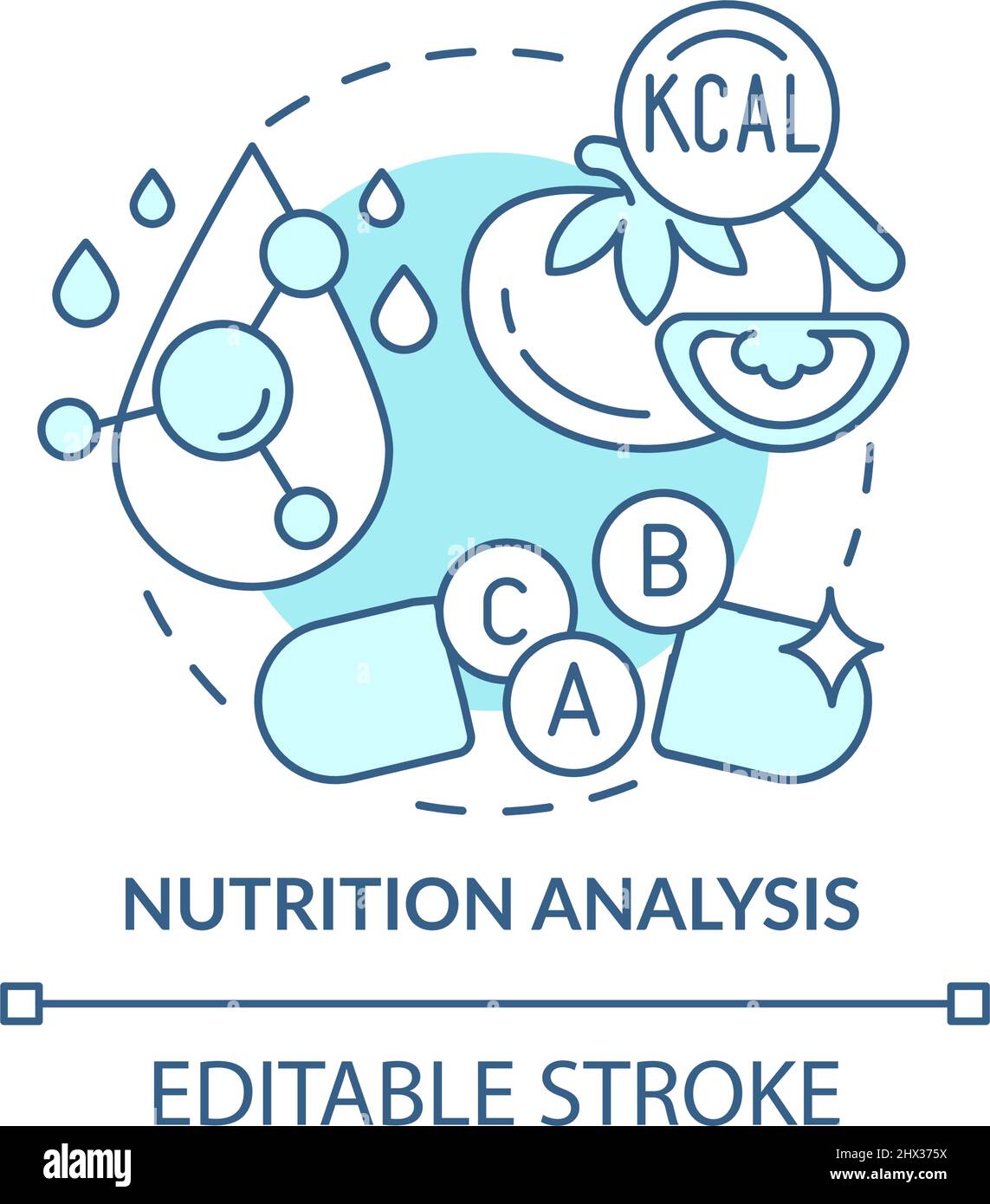 Nutrition analysis turquoise concept icon Stock Vector Image & Art - Alamy
