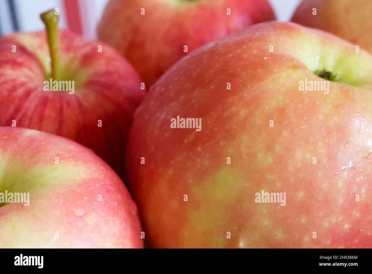 Ligol variety hi-res stock photography and images - Alamy