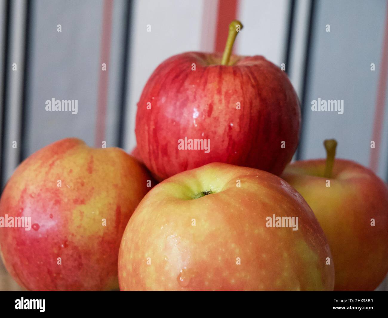A few ripe striped apples, a close-up shot. Apples of the gala and ...