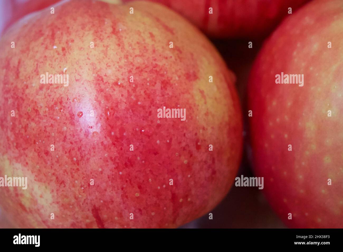 Several apples of the gala and Ligol varieties, a close-up shot Stock ...