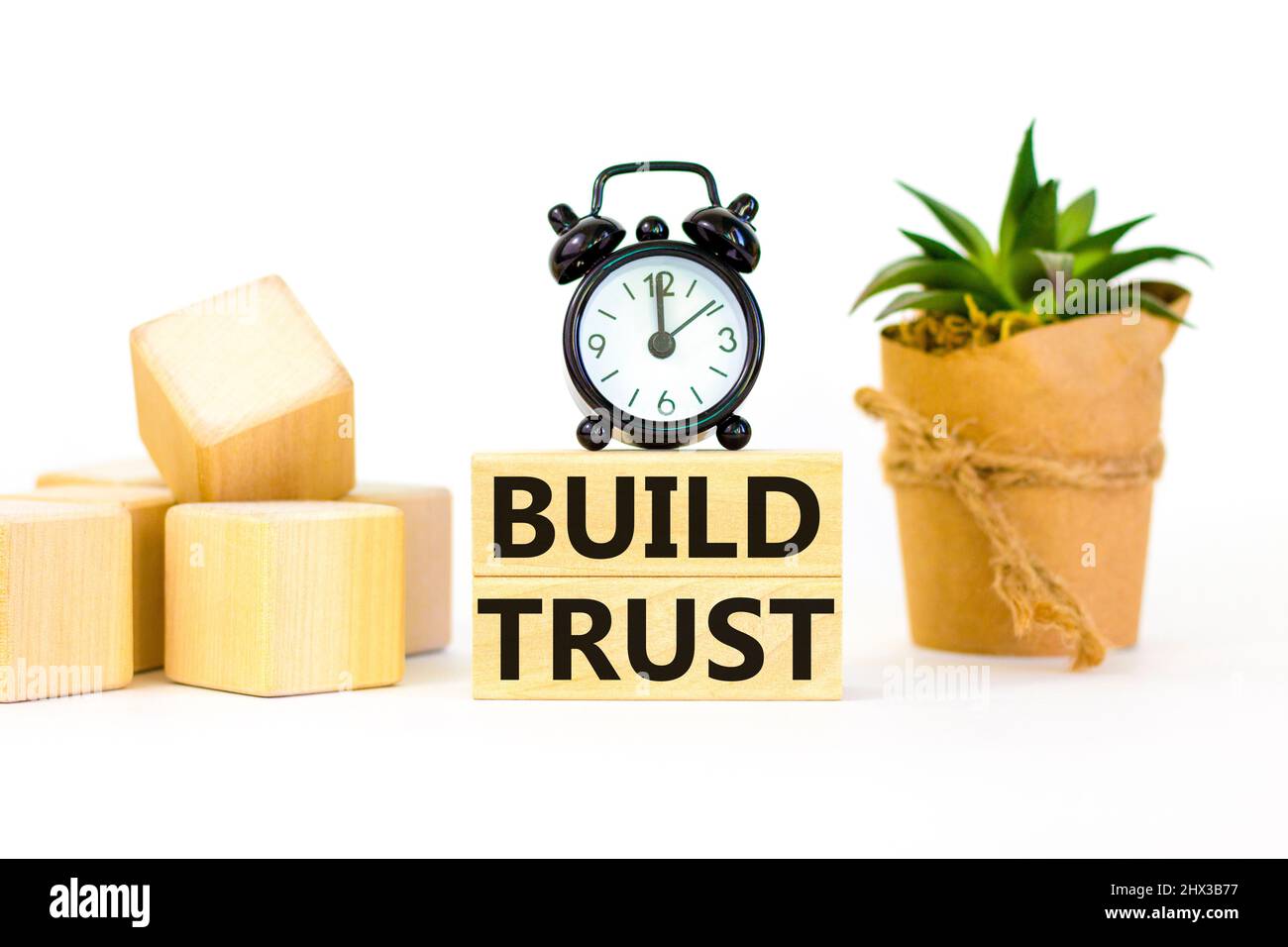 Build trust symbol. Concept words Build trust on wooden blocks on a ...