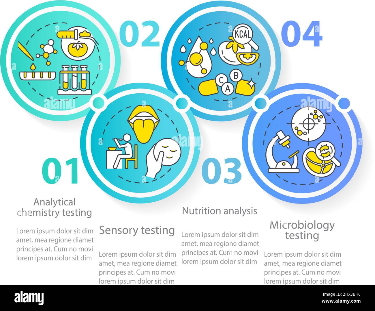 Food test procedures circle infographic template Stock Vector Image ...