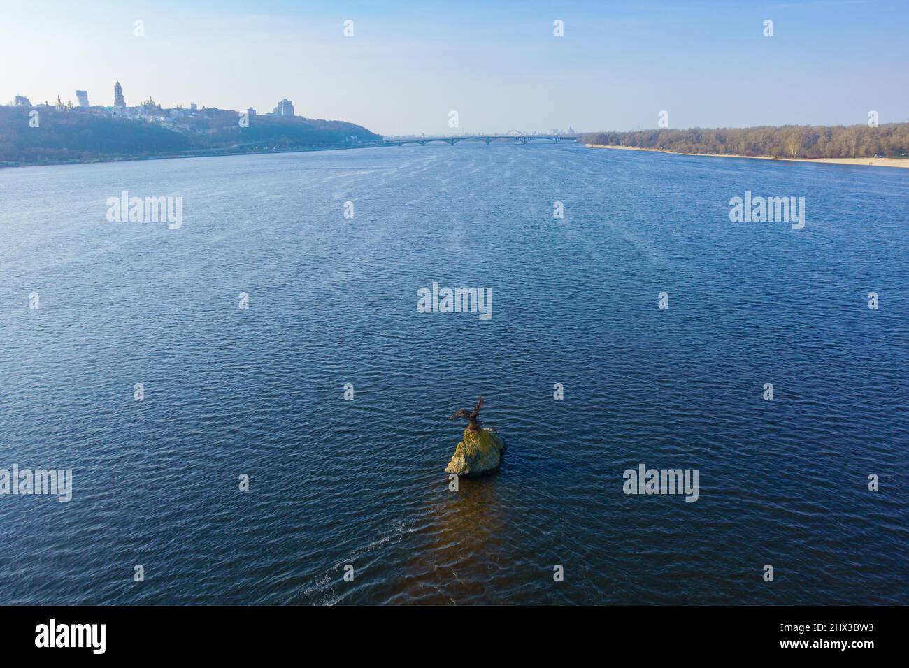 KIEV, Ukraine - March 19 ,2020:Sculpture of a rare bird in the middle ...