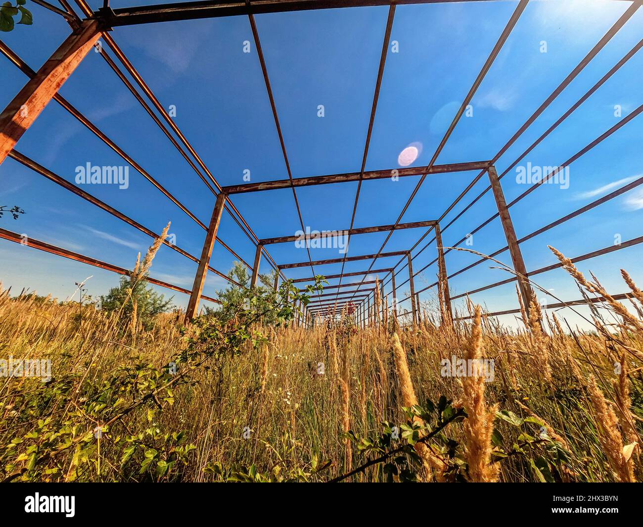 Metal frame in field. Deserted place overgrown with weeds Stock Photo ...