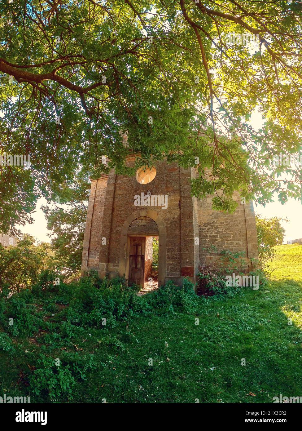 Medieval ruined castle under green leaves of tall tree. Stone brick ...