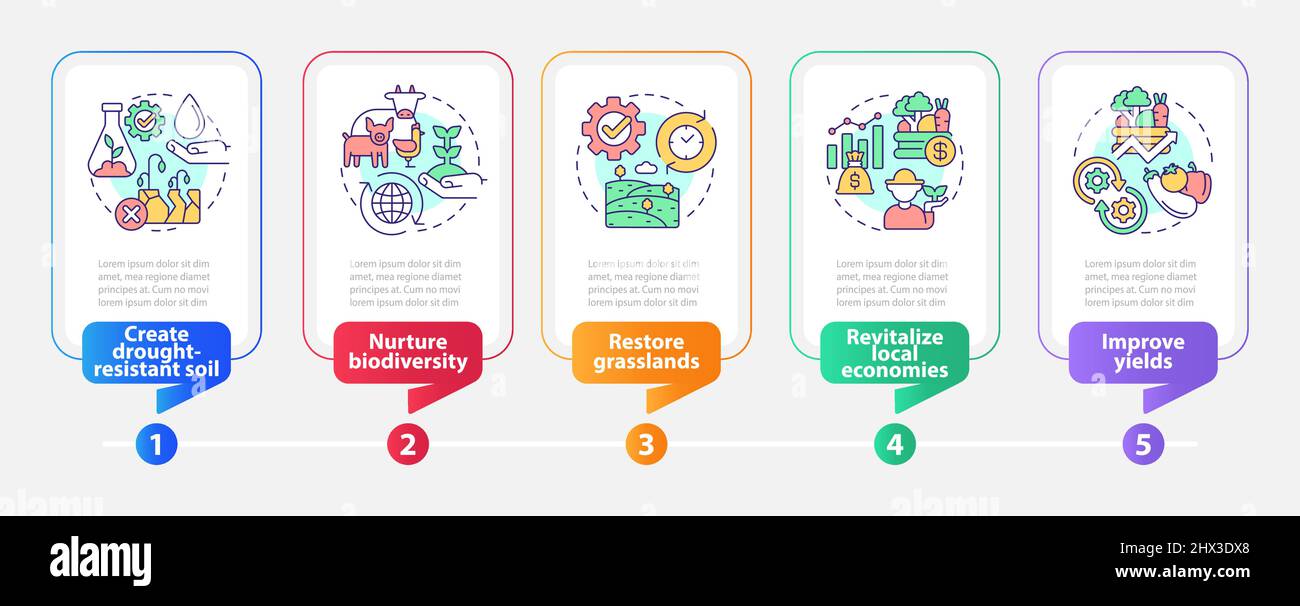 Shift to regenerative culture rectangle infographic template Stock ...