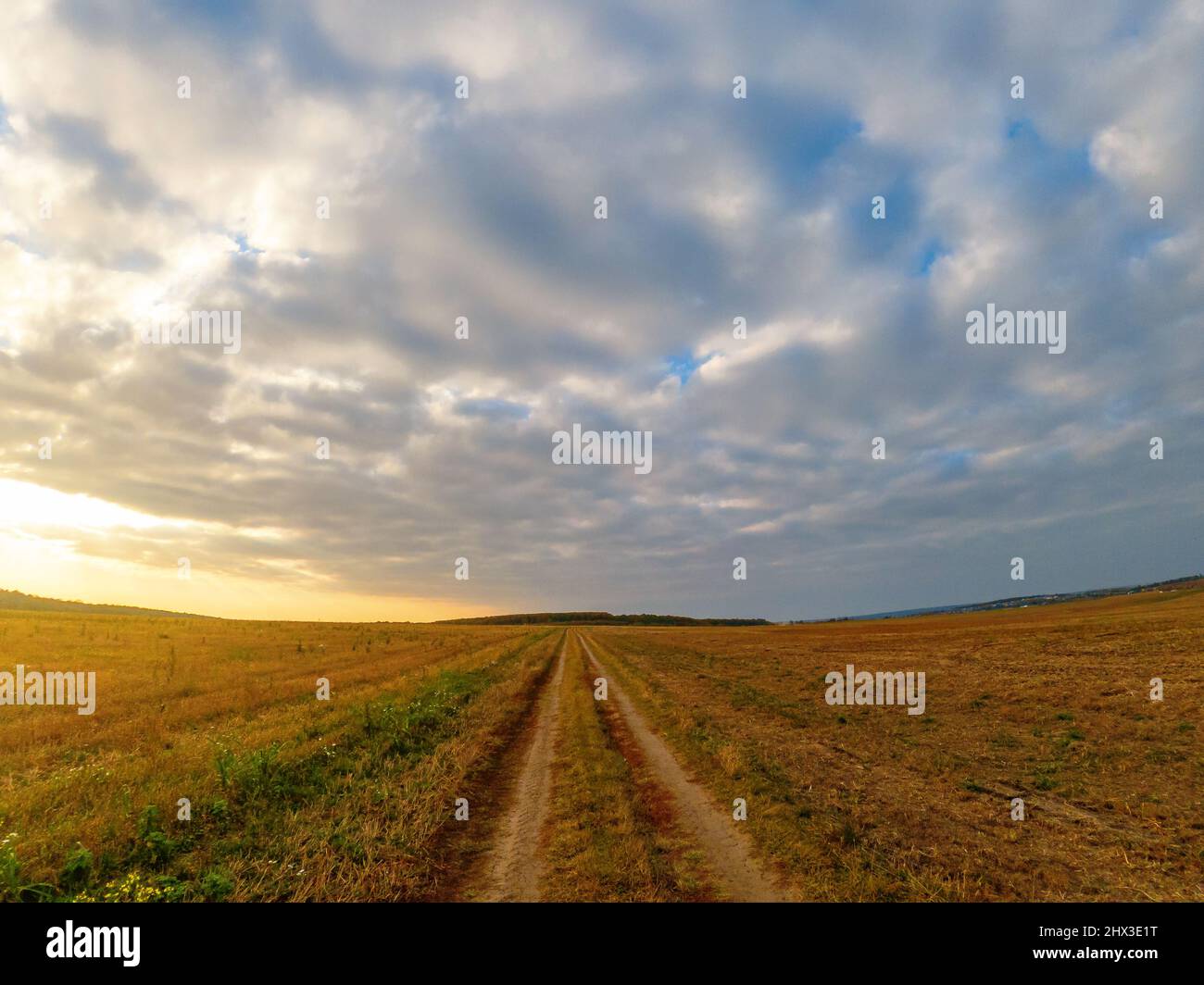 Autumn field after harvest, stubble. Rural field road. Forest on ...