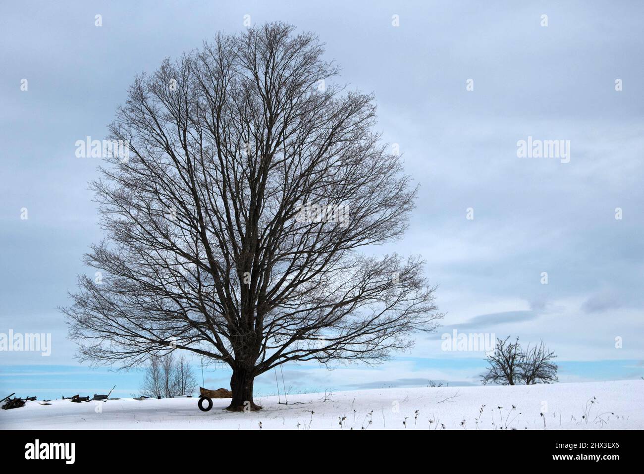 Covered bridge over stream in western Maine Stock Photo - Alamy