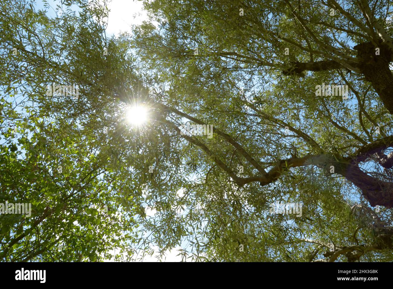 Beautiful scenery sunshine backlight hi-res stock photography and ...