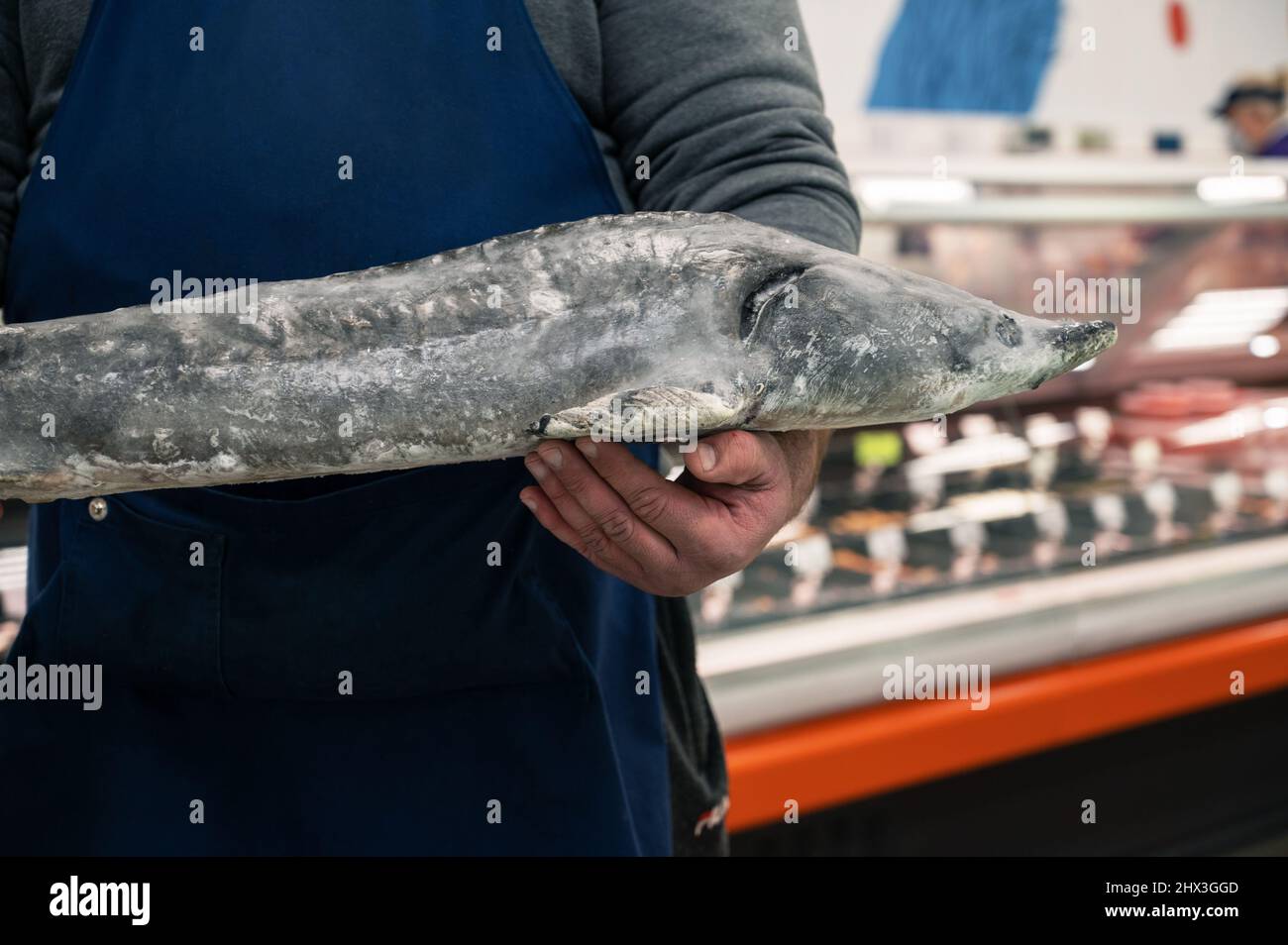Sturgeon fisherman hi-res stock photography and images - Alamy
