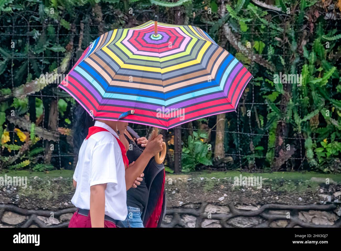 Daily lifestyle hi-res stock photography and images - Alamy