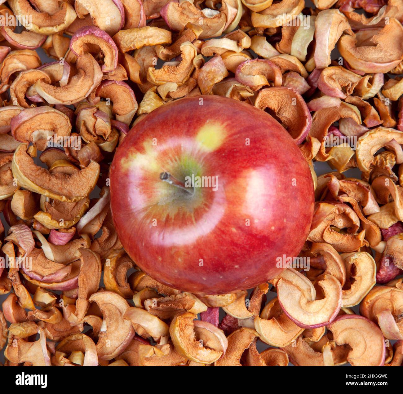 One ripe red apple on hi-res stock photography and images - Alamy