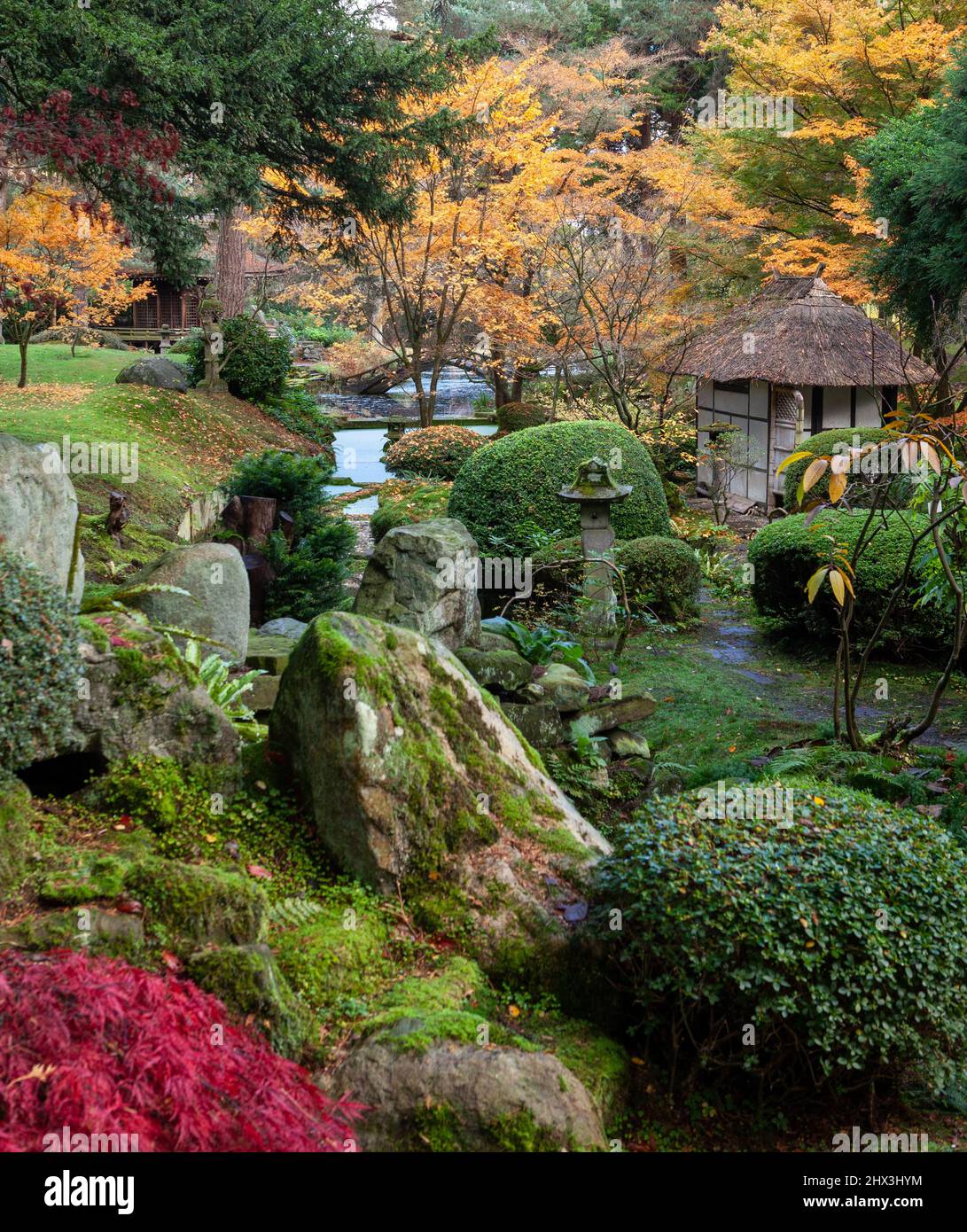 Tatton park gardens hi-res stock photography and images - Alamy