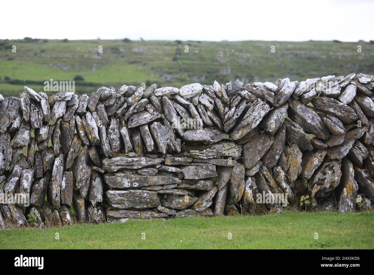 Irish stone wall in the West of Ireland Stock Photo - Alamy