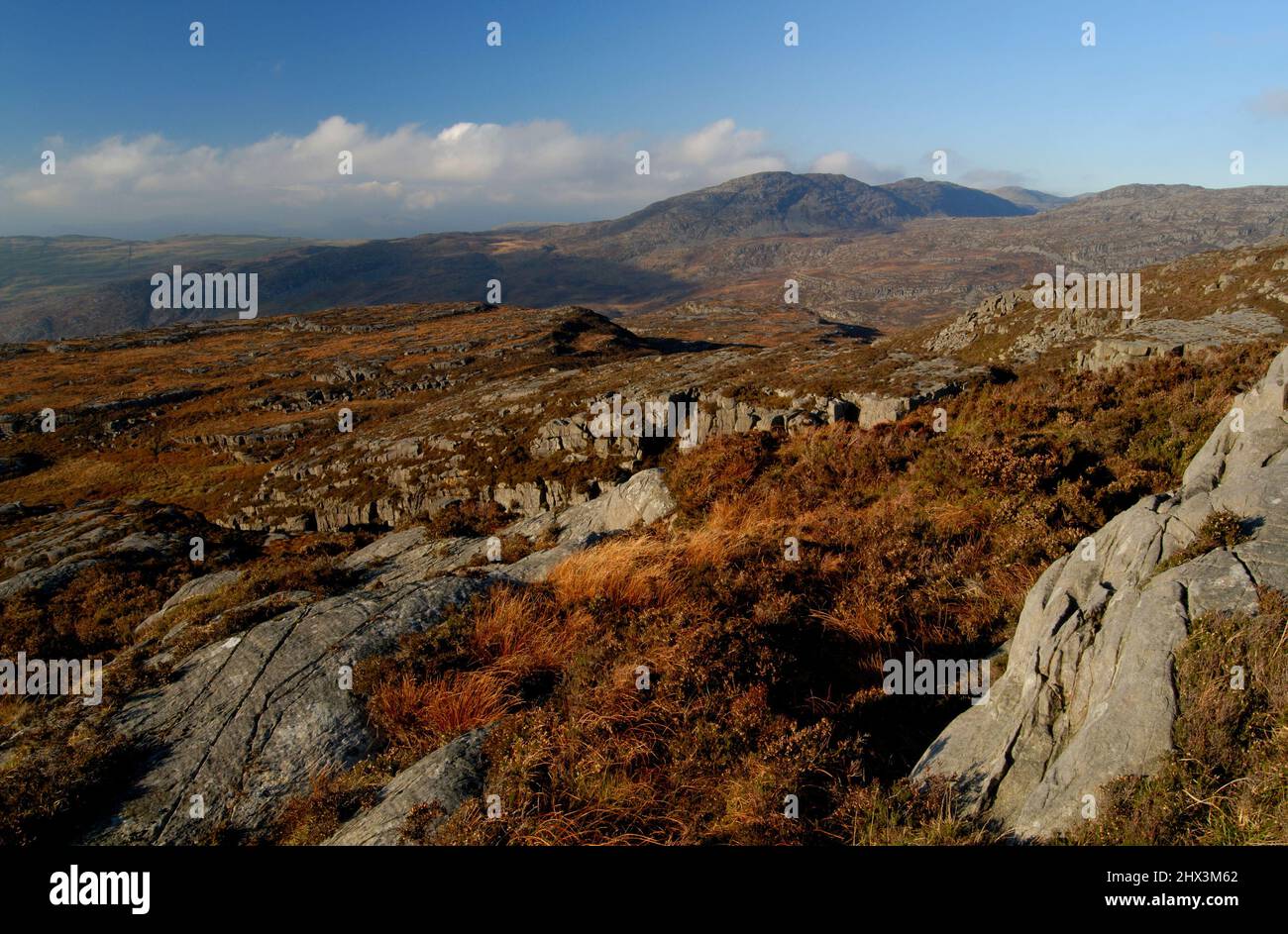 The Rhinogs, Snowdonia National Park Stock Photo - Alamy