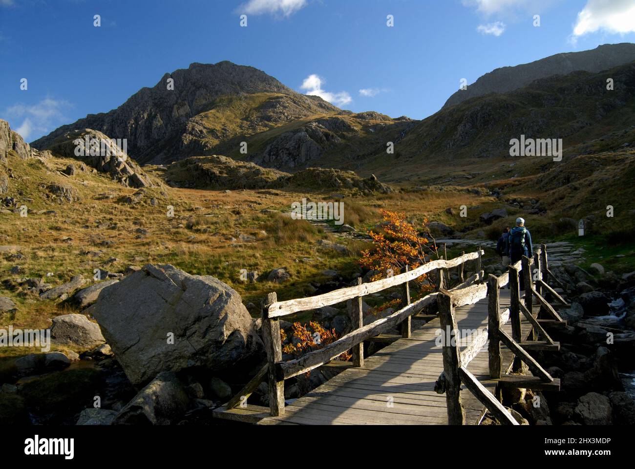wooden foot bridge in Snowdonia National Park Stock Photo - Alamy