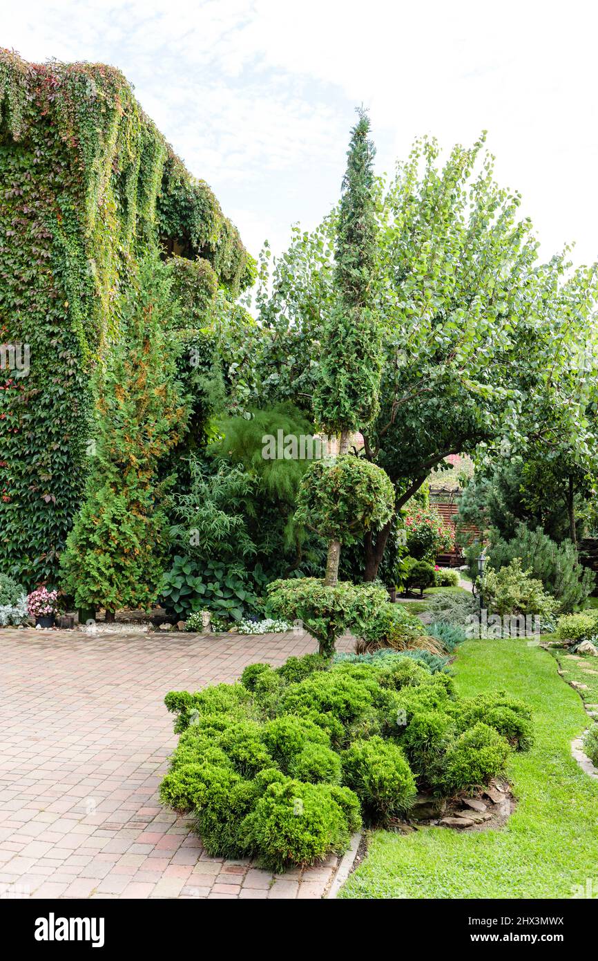 Tall country house overgrown with greenery. Eco housing. Beautiful ...