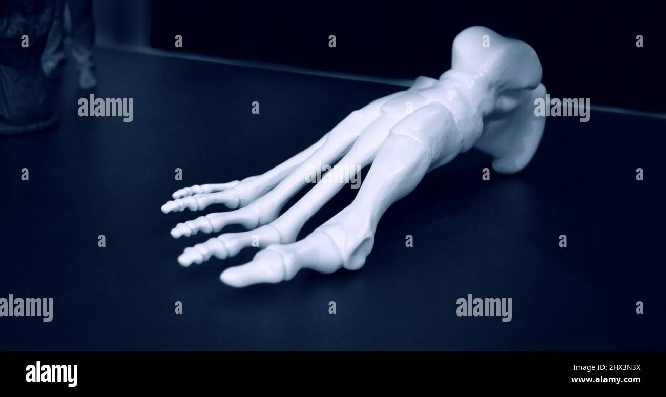 White prototype of the human foot skeleton printed on 3d printer Stock ...